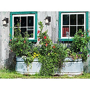 Westinghouse 6373800 Santa Fe One-Light Outdoor Wall Lantern, Weathered Steel Finish with Clear Seeded Glass Porch Light