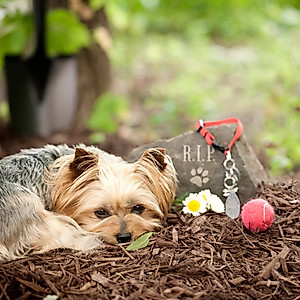 FINIC Pet Memorial Keepsake Urn, Thoughtful Remembrance Gift for Grieving Pet Owners