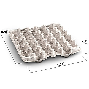 MT Products Egg Crates, Egg Flat Cartons Bulk Holds 30 Eggs - Pulp Fiber Egg Crate for Chicken Farm - Great Home for Roach Colony - Made in the USA - 15 Flats