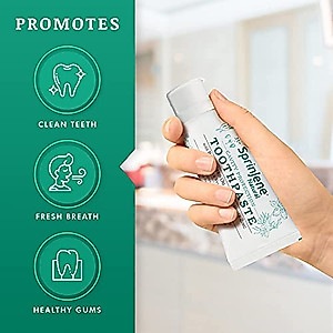 Sprinjene Natural SLS Free Toothpaste with Fluoride for Cavity Protection, Gum Health, Fresh Breath & Helps Dry Mouth for Adults Toxic Free, Preservative Free with Black Seed Oil & Zinc (2 Pack)