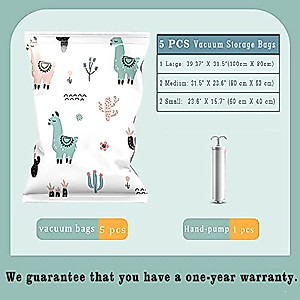 Space Saver Bags with Hand-pump Vacuum Compression Storage Bag 5 Pack(1 Large, 2 Medium, 2 Small)Vaccumed Sealer Clothes Bags for Travel Airtight & Reusable for Bedding, Blankets,Duvets and More
