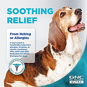 GNC Ultra Medicated Itch Relief Shampoo,16oz | Soothing Shampoo for Dogs with Oats & Pramoxine Hydrochloride | Moisturizing Shampoo for Dogs Medicated Itch Relief,FF13849
