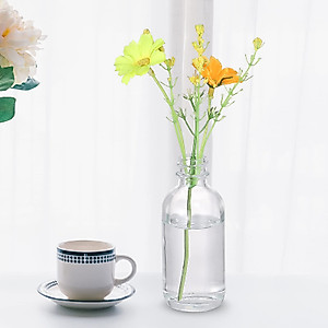 72, 2oz Small Clear Glass Bottles with Lids Boston Round Sample Bottles for Essential Oil Vanilla Hot Sauce Juice Whiskey Bourbon Liquid come with 5 Funnels,5 Droppers,72 Labels,1Brush&Chalk Marker