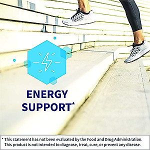 Klaire Labs Chewable Iron Chelate - 30 Milligrams Elemental Iron, Easy on The Stomach & Hypoallergenic, Natural Cherry Flavor (100 Tablets)