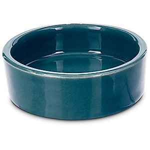 imagitarium Ceramic Terrarium Dish for Reptiles