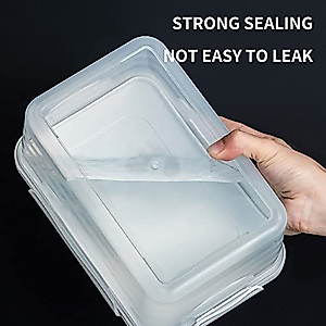 Generic Minimalist Multi-Compartment Food Storage Container with 4 Compartments, 22x14.5x10cm/8.66x5.7x3.93in, White, Portable, Airtight, Microwave, Dishwasher, Freezer Safe