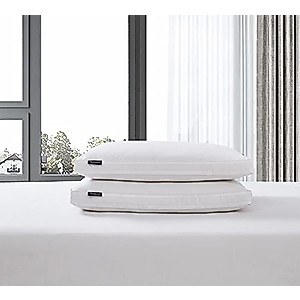Beautyrest BT-DP-42-2PK White Feather and Down Fiber Pillow, King (Pack of 2), 2 Count