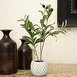 Flora Bunda Olive Tree Branches Artificial Olive Plant Branches Fruits Silk Olive in 4 in Gray Pineapple Cement Pot for Home Garden Office Wedding Decorations, 16" Tall (Cement Pot Included)