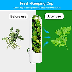 Fresh Herb Keeper for Refrigerator, 2PCS Cilantro Fresh Container Herb Savor Pod Herb Keeper and Herb Saver Fruit Containers Transparent Vegetable Preservation Bottle Kitchen Storage Cup for Cilantr
