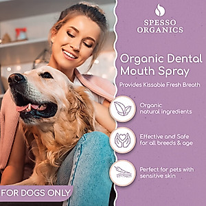 Bella PETZZO DENTI - Organic Dental Mouth Spray for Dogs-Helps Fight Plaque, Tartar, Bad Breath, Gums, Provides Kissable Fresh Breath, Made with Coconut Oil, Coriander, Myrrh - 8 Fl Oz (240ml