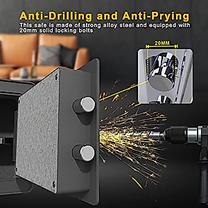 GOLDENKEY Digital Security Safe and Lock Box,Small Safe box for Money, Fingerprint Lock,Perfect for Home Office Hotel Business Jewelry Gun Use Storage,0.5 Cubic Feet,Black