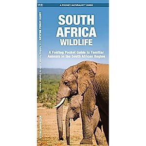 South Africa Wildlife: A Folding Pocket Guide to Familiar Animals in the South African Region (Nature Observation International)