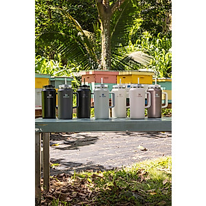 Stanley Quencher H2.0 FlowState Stainless Steel Vacuum Insulated Tumbler with Lid and Straw for Water, Iced Tea or Coffee, Smoothie and More, Charcoal, 64 oz