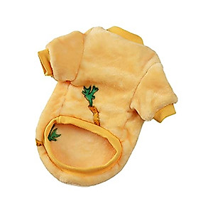 Pet Clothes for Medium Dogs Pet Clothes Dog Clothes Autumn and Winter Clothes Teddy Bear Pet Clothing Cat Spring Two Legged Fleece Sweater