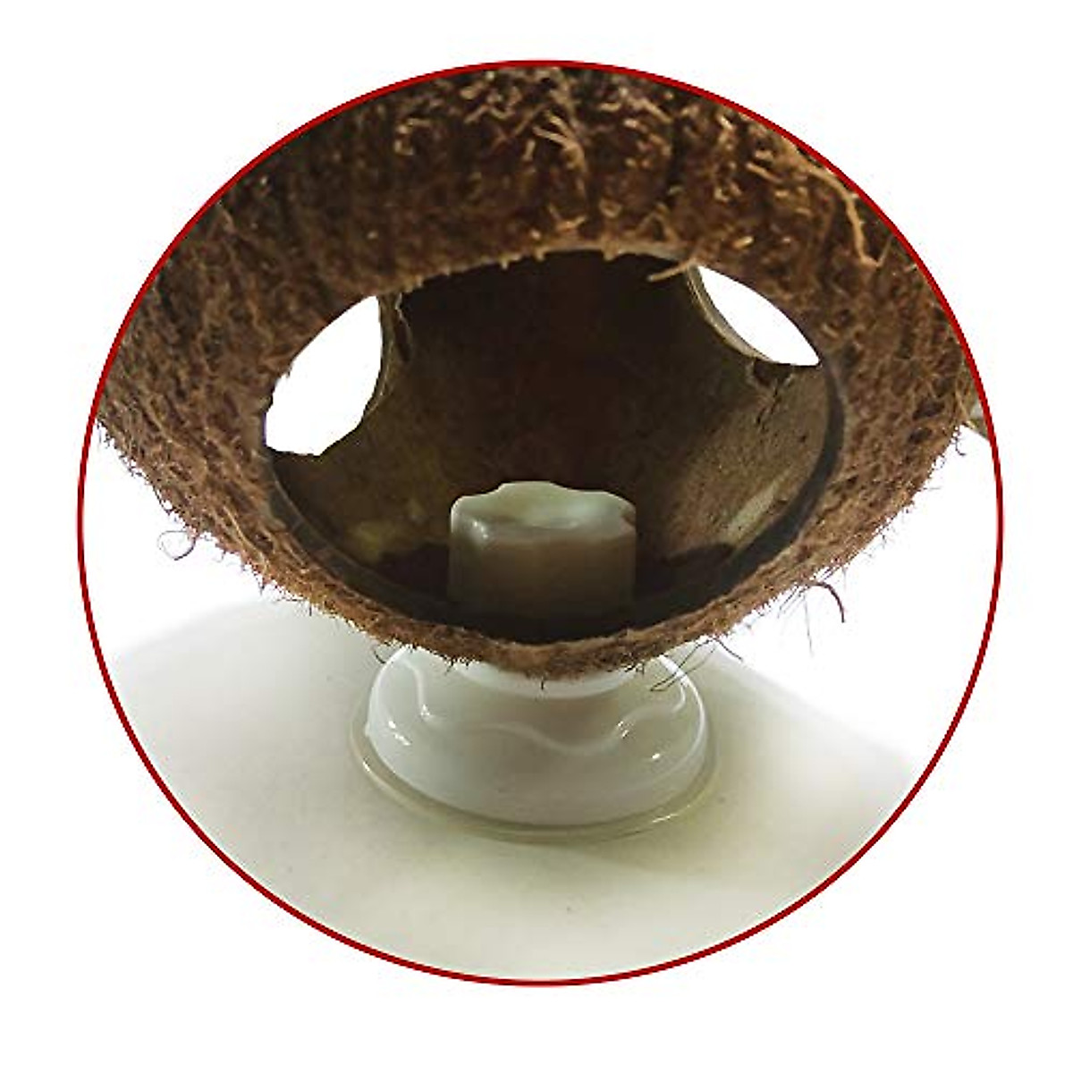 Aquarium Decor Fish Tank Three Hole Coconut Shell Dodge Hole Fish Cave Hole Shelter House Shrimp Nest/Bird's Nest (Coconut Shell & Suction Cup)