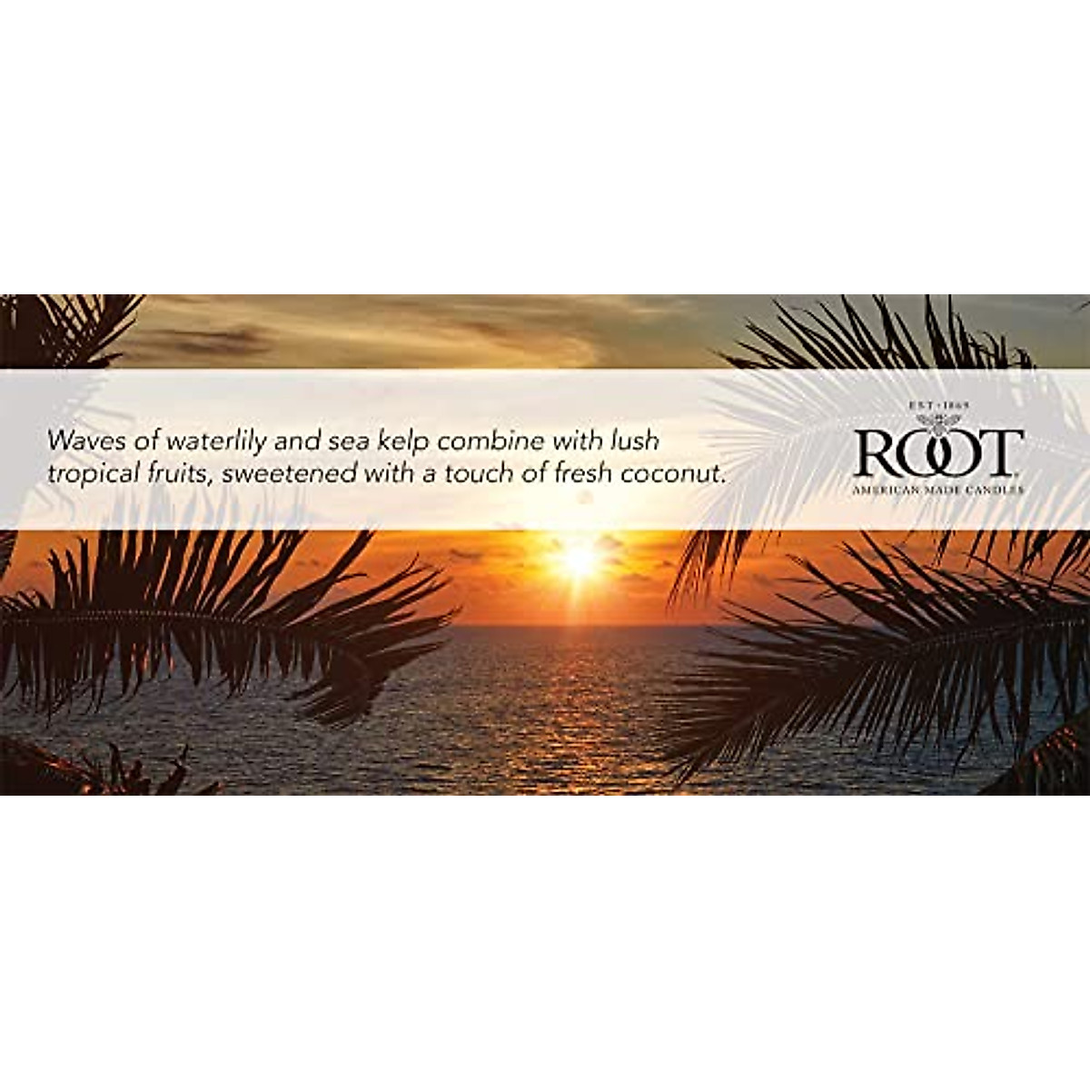 Root Candles Scented Candles Honeycomb Veriglass Premium Handcrafted Beeswax Blend Candle, Large, Coastal Sunrise