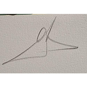 The Bullfighter (Golden Calf)