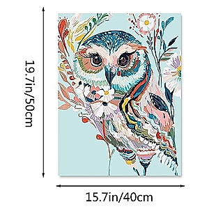DIY Paint by Numbers for Kids & Adults & Beginne,DIY Canvas Painting Gift Kits for Home Decoration,Rainbow Owl Home Wall Decor 16x20''(Without Framed)