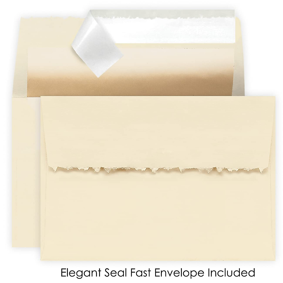 The Gallery Collection, 1 Count Card Pack, Birthday Card with Pearl Lined Envelope (Classically Elegant Birthday)