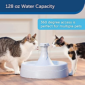 PetSafe Drinkwell 360 Multi Pet Drinking Fountain - Customizable Automatic Water Dispenser for Cats and Dogs - 128 oz Fresh, Filtered Water Capacity for Healthy Pets - Filter Included
