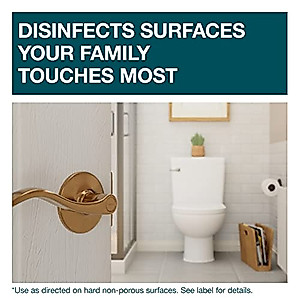 Family Guard Brand Disinfectant Spray Trigger & Multi Surface Cleaner, Antibacterial Spray, Expertly Formulated for Use In Homes with Children & Pets, Fresh Scent, 32 oz (Pack of 1)