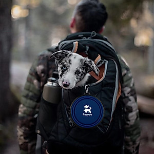 COOYOO Collapsible Dog Bowl,2 Pack Collapsible Dog Water Bowls for Cats Dogs,Portable Pet Feeding Watering Dish for Walking Parking Traveling with 2 Carabiners