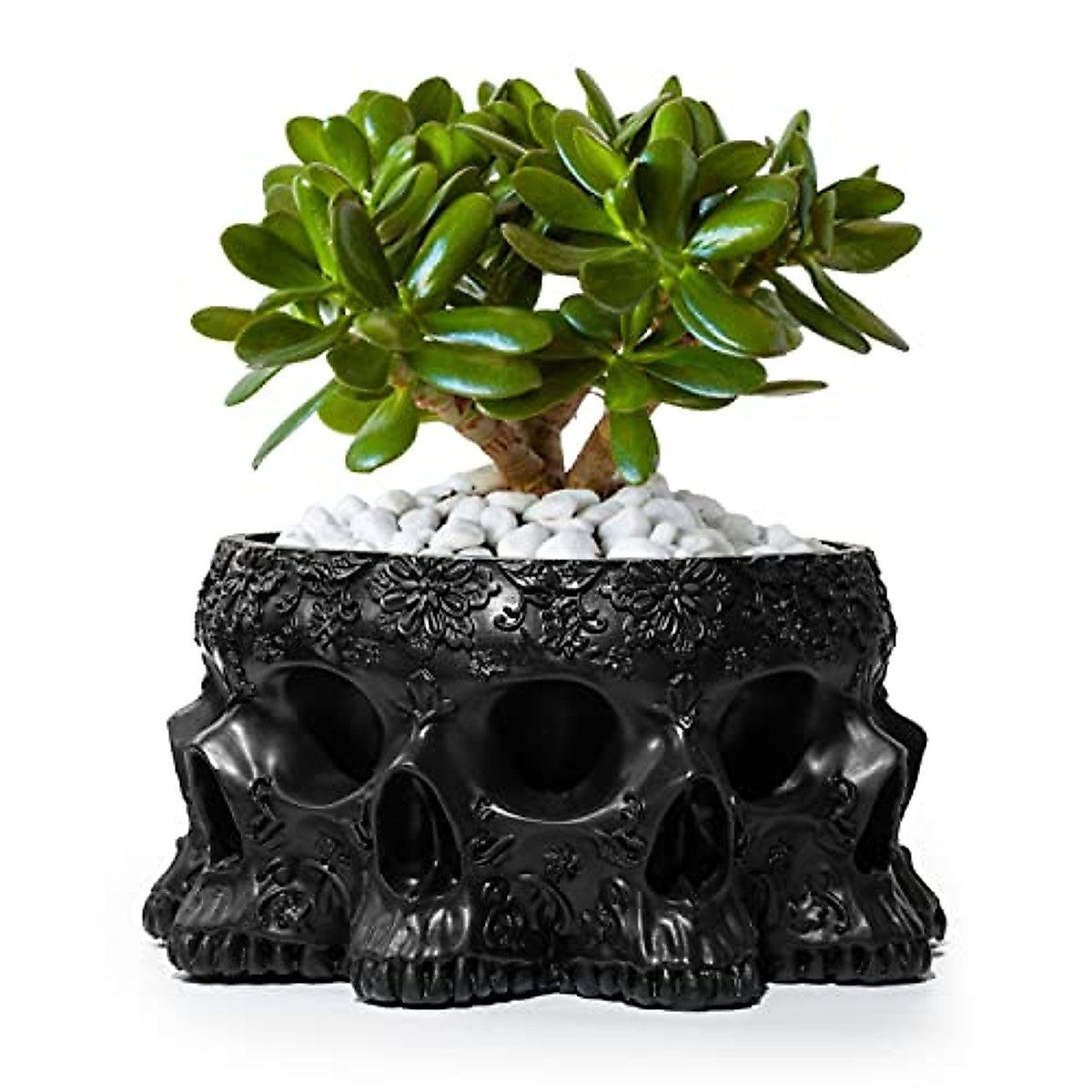 Skull Multiple Faces Plant Planter Pot, Decorations Sugar Candy Bowl, Polyresin Skull Planter Succulents Pots, Flower Pot Home Gardening Garden Goth Decor 4" H (Black)