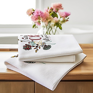 ZWZXR Christian Kitchen Towels,Dish Towels Dishcloth,Bible Verse Scripture Galatians 4:13 Decor Dish Towels for Kitchen,Towels for Kitchen 16X24,Christian Girls Women Gift (011)