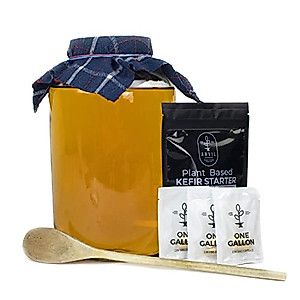 Anvil Traditional Healing Homemade Probiotic Kefir Starter Culture Kit - Non-GMO, Organic, Vegan, Pure & All Natural - High In dose, Grow your own probiotic | Produces 12 Quarts/3 Gallons Per Pack