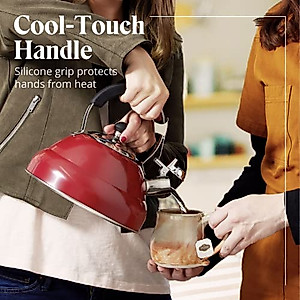 Willow & Everett Whistling Tea Kettle for Stove Top - 2.75 Quart Tea Pots for Stove Top w/Stainless Steel, Mirror Finish & Strainer