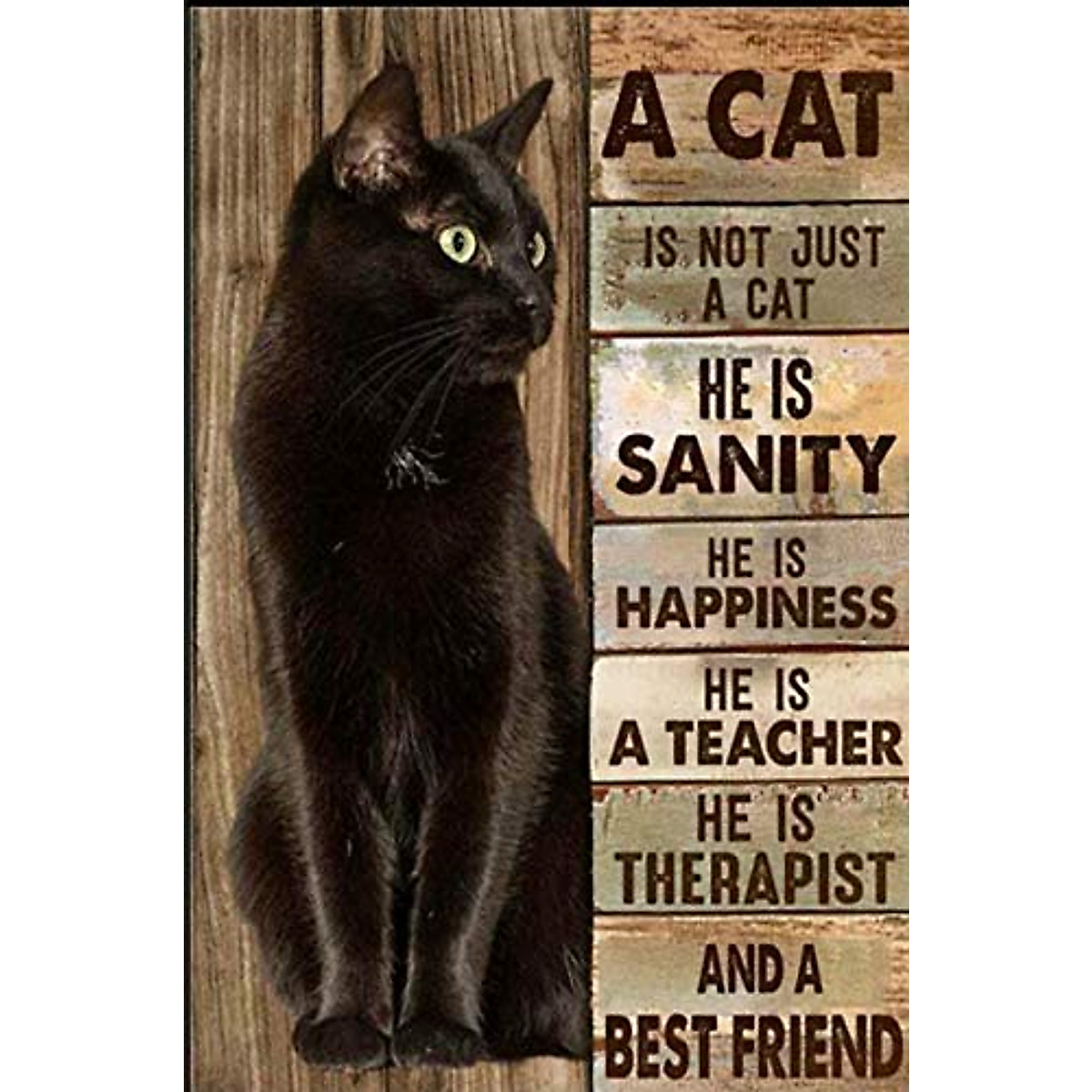 KDLY A Cat is Not Just A Cat Metal Sign 12"x8" Black cat Lover Home Wall Decor