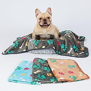 Luciphia 1 Pack 3 Blankets Fluffy Premium Fleece Pet Blanket Flannel Paw Bone Printed Throw for Dog Cat(Small 23x16'', Grey/Brown/Blue)