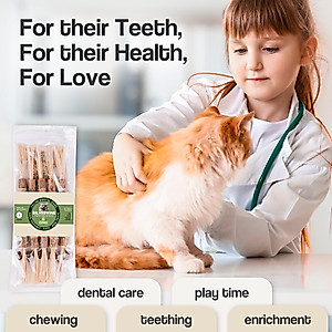 Cat Park Silvervine Sticks for Cats 5 Pcs, Natural Catnip Cat Chew Toys for Indoor Cats Teeth Cleaning, Aggressive Chewers, Kitten Teething Matatabi Chew Stick Cat Toys, Silvervine for Cats Dental Toy