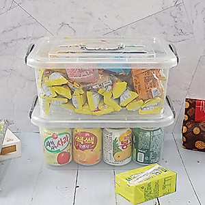 Ortodayes Clear Storage Boxes with Lids, 8 Liter Storage Bins Set of 2