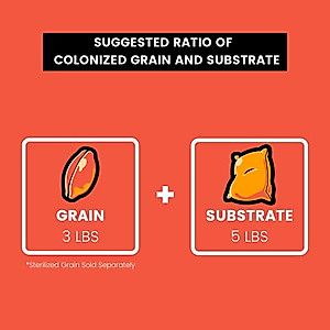 MushroomSupplies.com Mushroom Substrate| Premium Manure, Vermiculite, Coco Coir & Gypsum | 0.2 Micron Filter Grow Bag | Mycologist Developed Kits