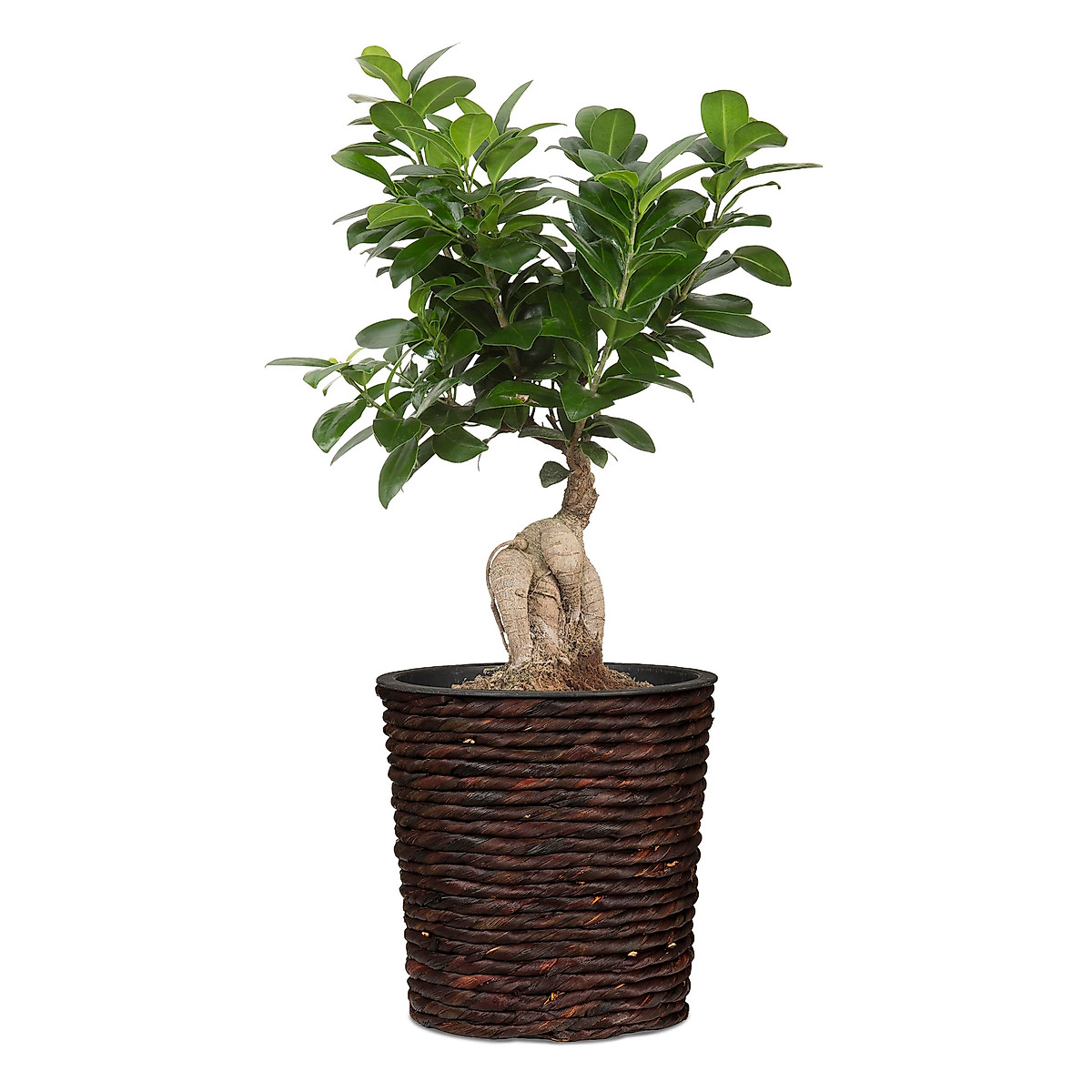 Scheurich Basket Vessel, Brown, 24