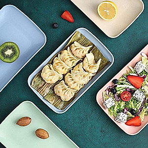 ATRDTO Set of 4 Wheat Straw Plates Dessert Plates Fruit Dish for Dessert Cupcake Salad Steak Home and Kitchen Decor (4 Pcs Rectangle)