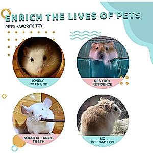 Elipark 12 Pack Wooden Hamster Toys Set,Guinea Pig Toys Natural Apple Wood Rabbit Rat Bunny Chinchillas Dwarf Hamsters Chew Toys Treats,Exercise Accessories for Small Animal Pet Chewing and Teeth Care