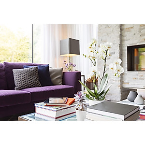 Orchid Fertilizer | Food | Encourages Orchids to Grow in Pot/Pots | for Indoor Outdoor Plant | Orchid Potting Mix by Aquatic Arts