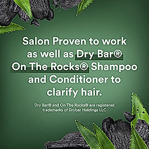 Suave Professionals Clarifying Shampoo for Oily Hair Charcoal Aloe Vera Paraben Free 12.6 oz