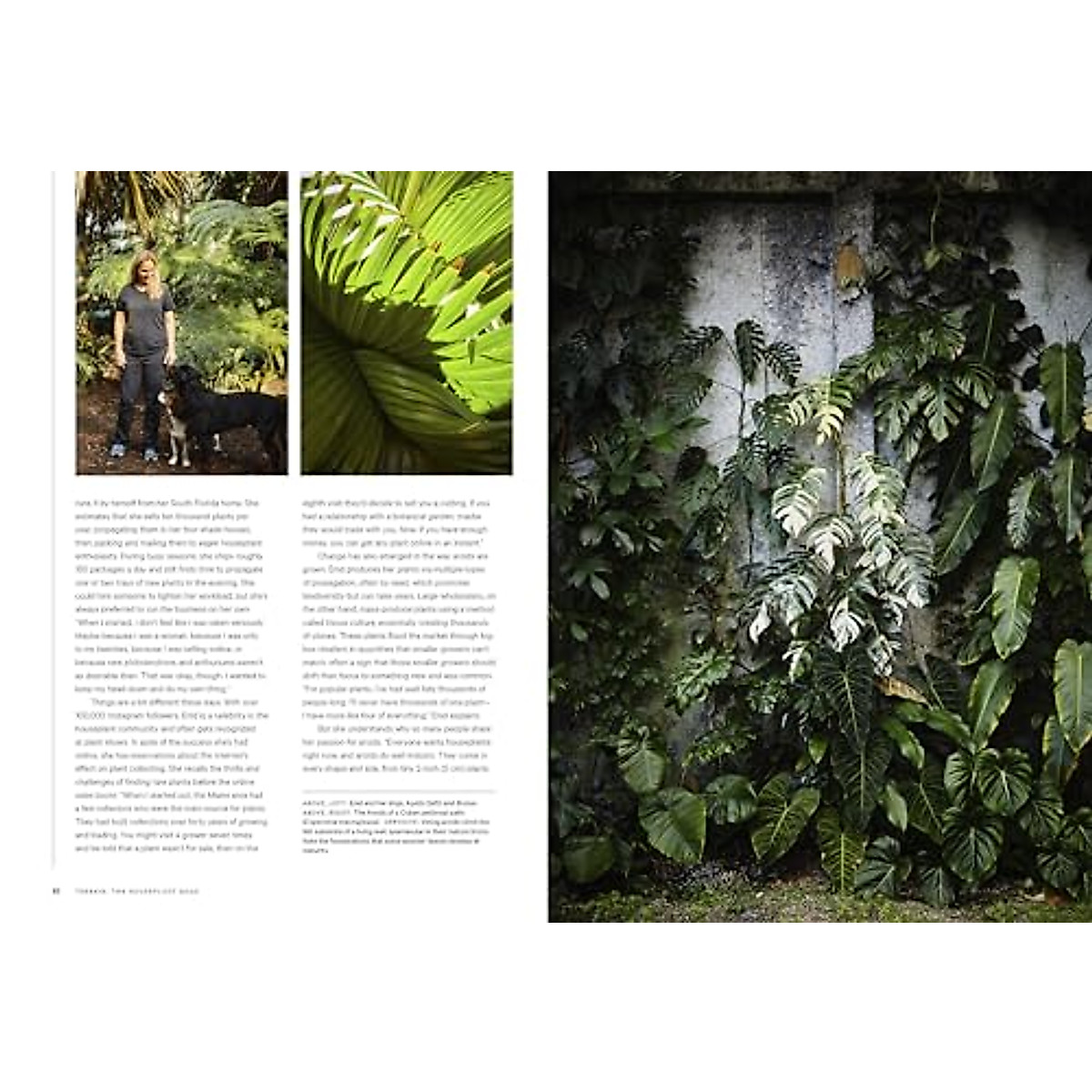 Terrain: The Houseplant Book: An Insider’s Guide to Cultivating and Collecting the Most Sought-After Specimens