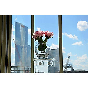 LaBrinx Designs Small Suction Cup Shelf - Live Plants, Windows, and Bathrooms