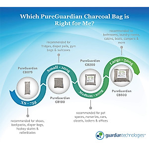 PureGuardian CB200 Bamboo Charcoal Air Purifying Bag, Eco-Friendly, Naturally Absorbs Odors, Excess Moisture and Pollutants, 200g, 4-Pack, Gray