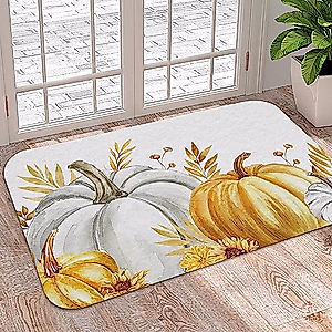 Chees D Zone Indoor Door Mat,Fall Thanksgiving Pumpkin White Soft Non-Slip Absorbent Kitchen Rug,Gold Leaves Sunflower Plant Floor Mat Entrance Rugs for Bedroom Living Room 16x24In