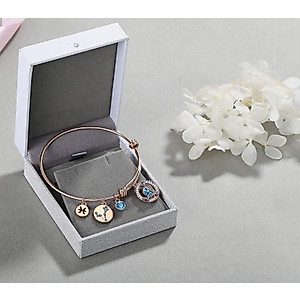 Leafael Superstar Pisces Zodiac Expandable Bangle Crystal Bracelet Horoscope Constellation Feburary March Birthstone Jewelry Gifts for Women, Rose Gold Plated, 7"