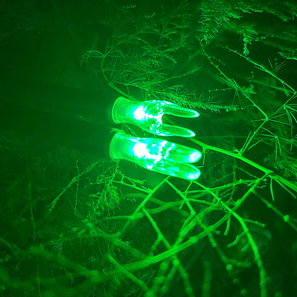 Ellen Archery 6PCS New X Lighted Nock Universal LED S Nock Fit Arrows .204 .233 .244 .246 Inside Diameter Automatically Bowstring Screwdriver Included (Green)