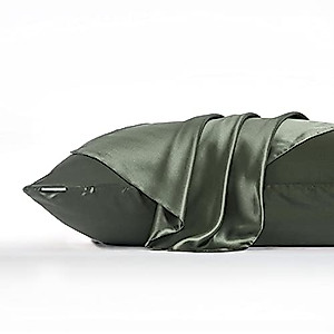 DISANGNI 100% Natural Mulberry Silk Pillow case for Hair and Skin with Hidden Zipper 22 Momme Both Sides Real Silk Pillow Case 1pc (Green, 2 Pack Standard Size 20"x26")