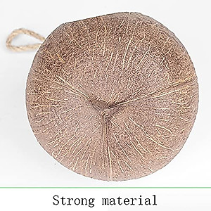 Coconut Bird Nest Hut, Natural Coconut Fiber Hanging Birdhouse Cage Breeding Nesting Bird Aviary Cage Box Anti-Pecking Bite for Parakeet Budgie Cockatiel Finch Sparrows