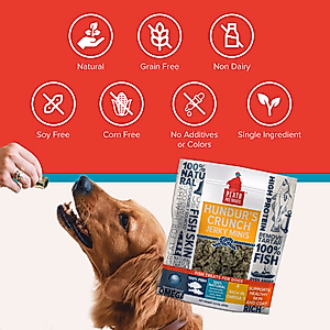 Hundur's Crunch Single Ingredient Cod Skin Dog Treats – Minis