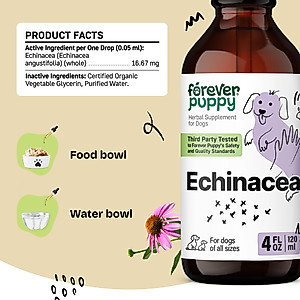 Echinacea for Dogs - Immune Supplement for All Breeds & Sizes - Immunity Support w/Echinacea Herb - Liquid Dog Vitamins and Supplements for Pets - 4 oz